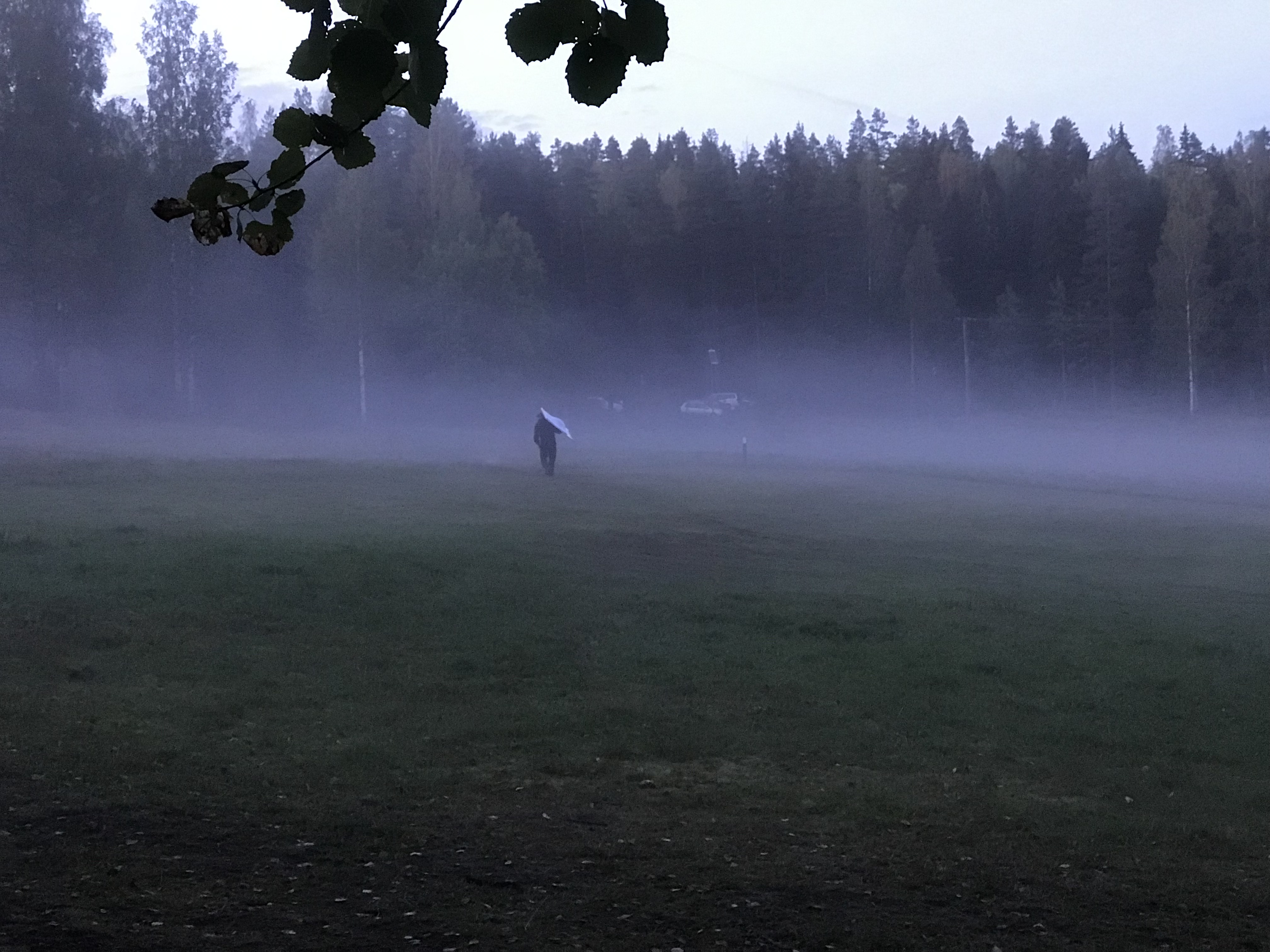 1000 päivää yrittäjyyttä - www.jurifranska.com